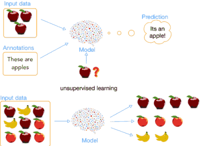Supervised Learning Adalah: Pengertian, Konsep dan Contoh